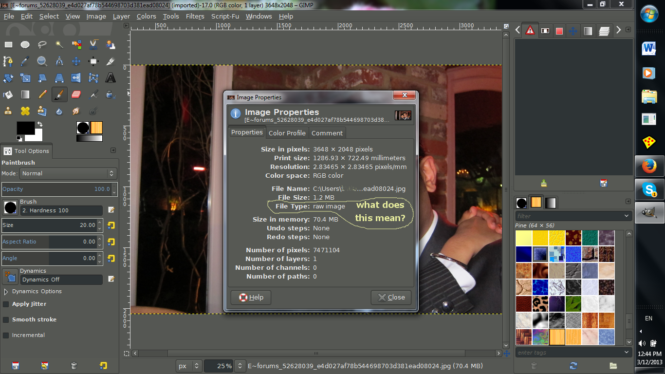 Can Gimp open RAW photos? • GIMP Chat