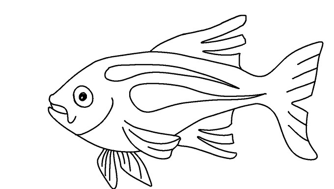 Gimp fishes • GIMP Chat