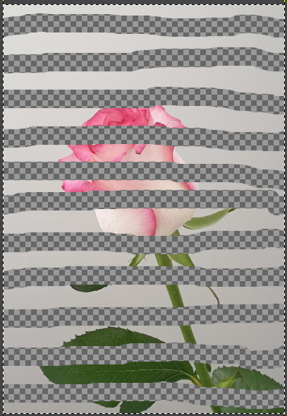 4 Roses (or anything else) Plaid Tutorial • GIMP Chat